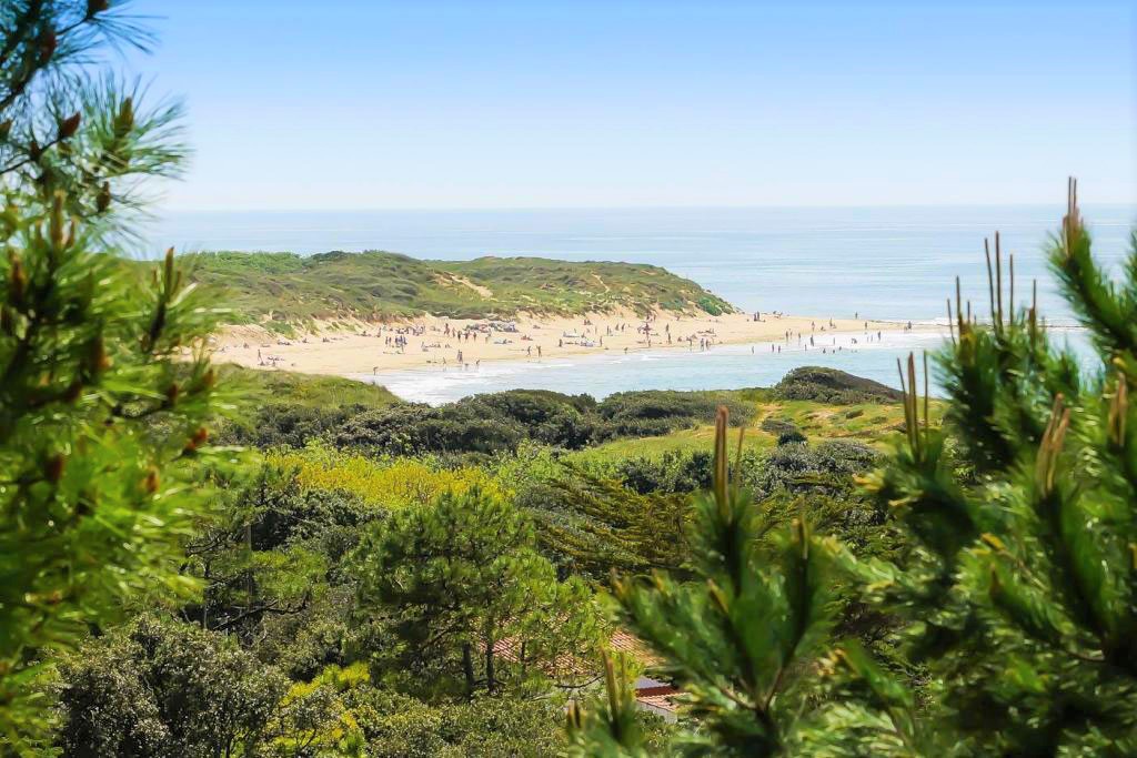 4⭐ en bord de plage paradisiaque 😍 île d'Oléron ! Profitez de -200€ la ...